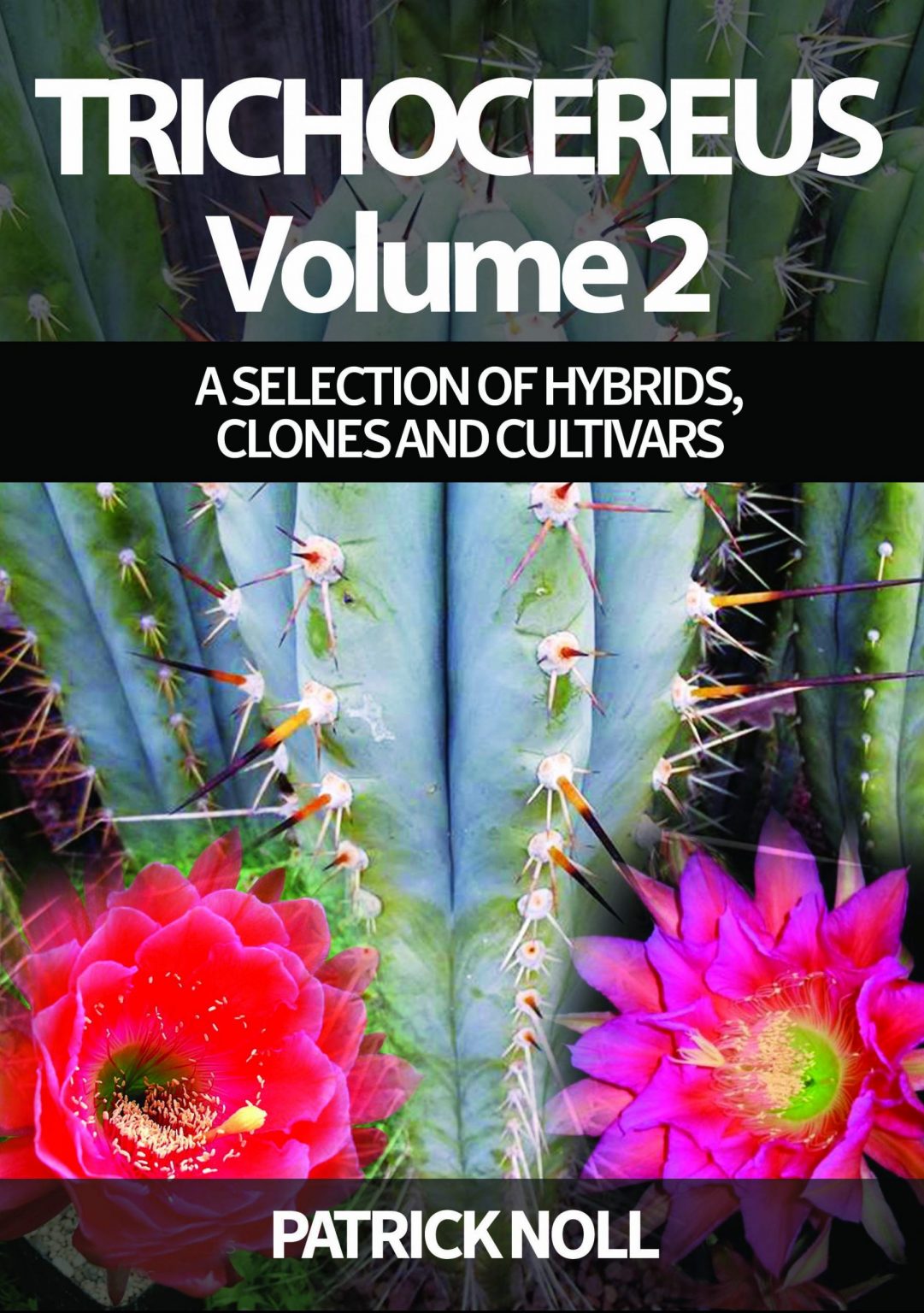 New Book TRICHOCEREUS VOLUME 2 Echinopsis Cactus Cacti