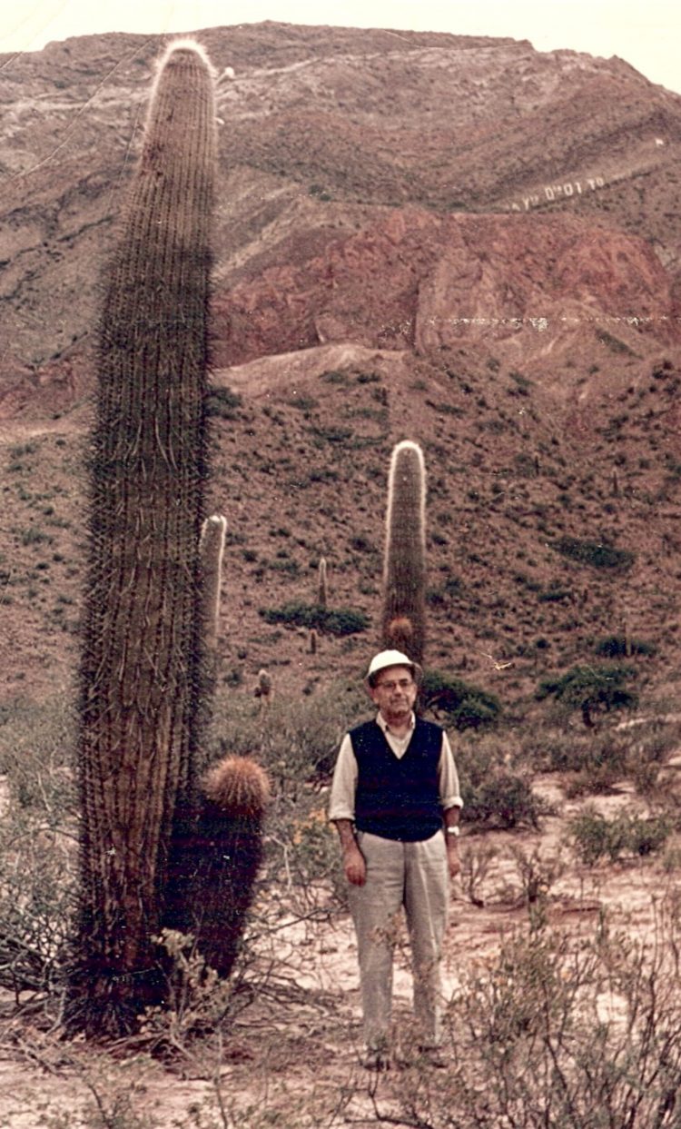 Trichocereus tarijensis / Echinopsis tarijensis – Trichocereus.net ...